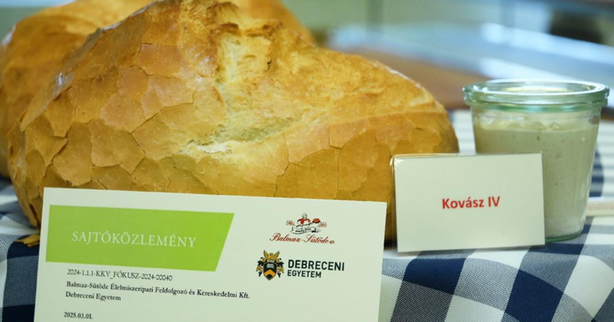 University of Debrecen develops innovative bakery products - DEBRECEN4U