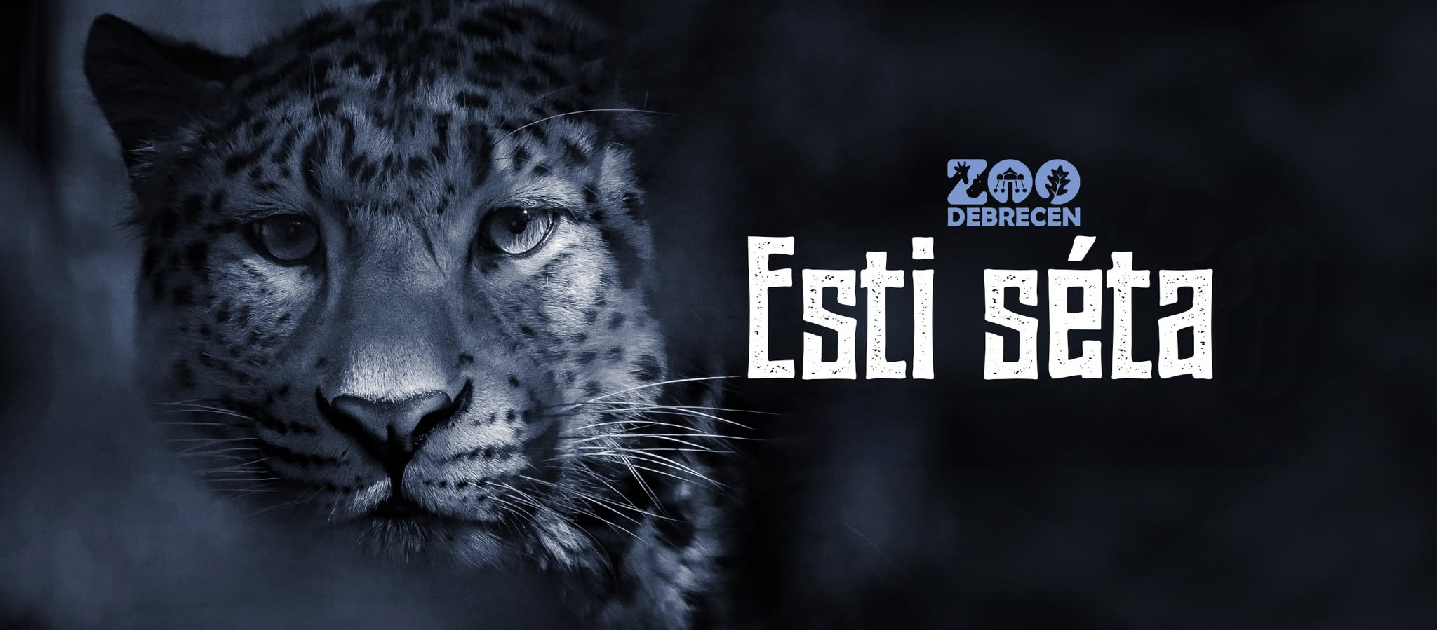 The animals of Debrecen Zoo can be seen again on evening walks - DEBRECEN4U